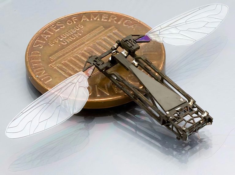 Researchers Study Butterfly Flight Dynamics to Create Small Airborne Robots