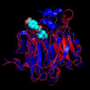 Foldit Players Remodel Catalyst Enzyme for Diels-Alder Reactions