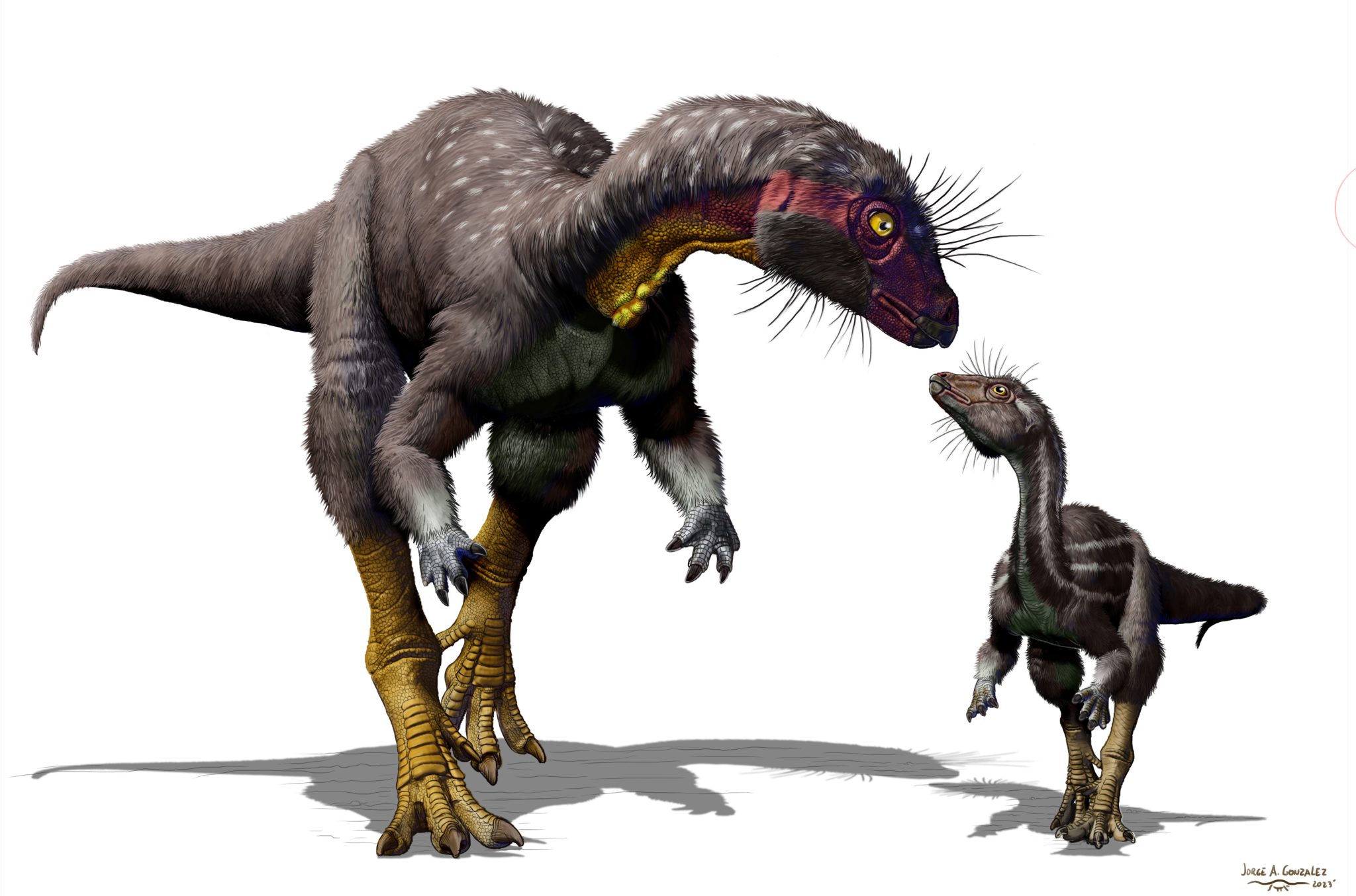 Cientistas descobrem um novo tipo incomum de dinossauro que viveu no ...