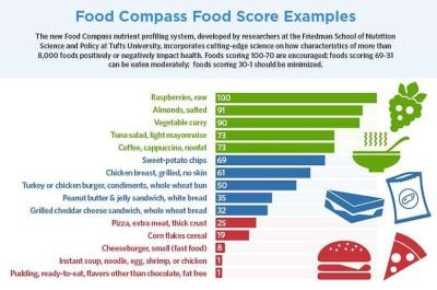New Nutrient Profiling System: Ranking Healthfulness of Foods From ...
