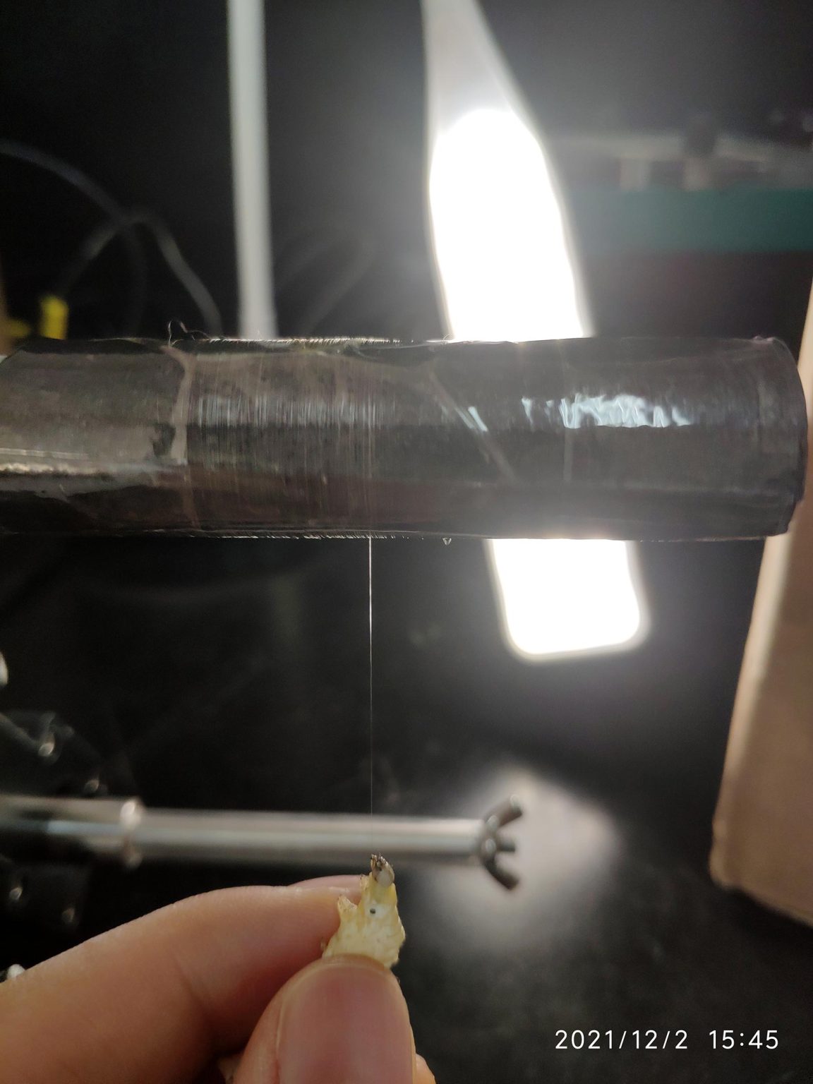 6x Tougher Than Kevlar: Spider Silk Is Spun by Genetically Modified ...