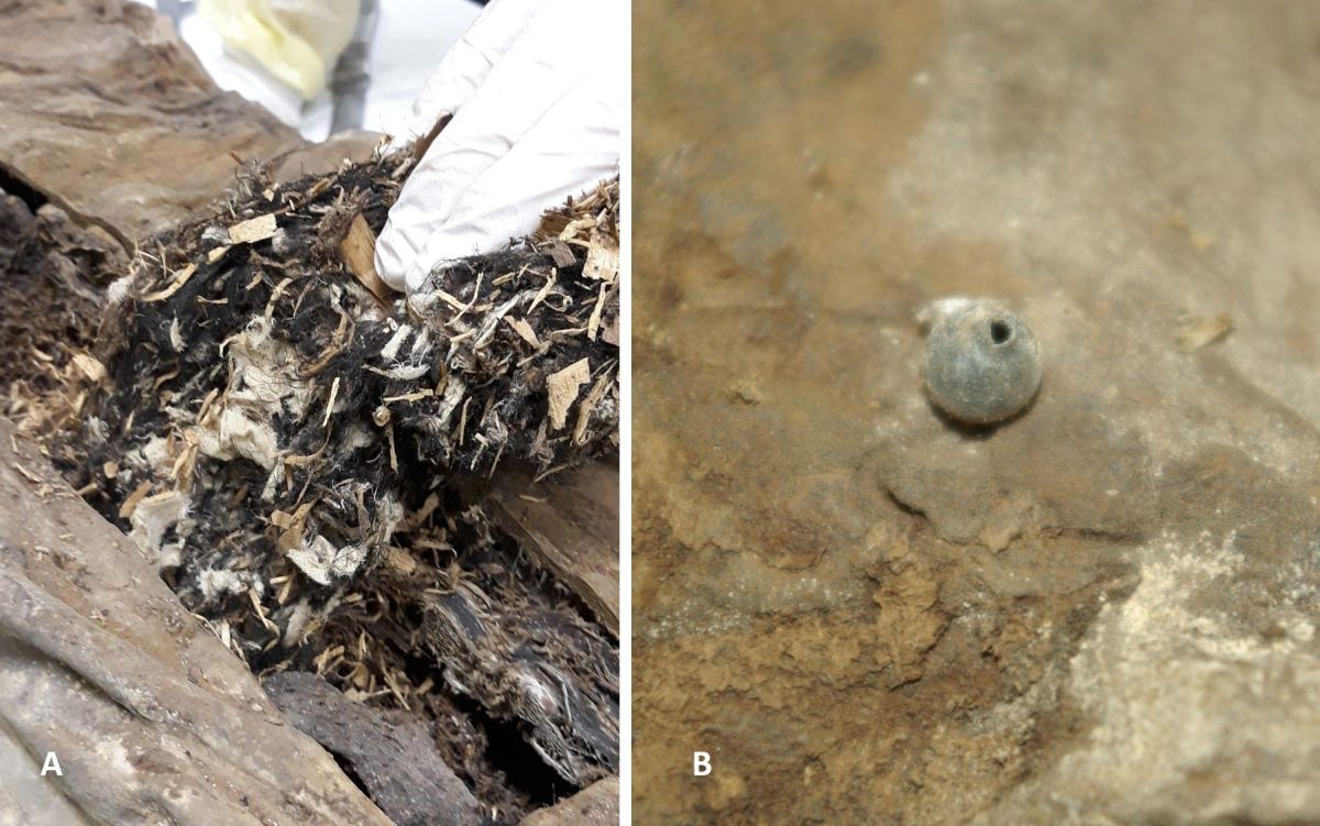 Researchers Discover “Unusually Well-Preserved” Mummy in Church Crypt