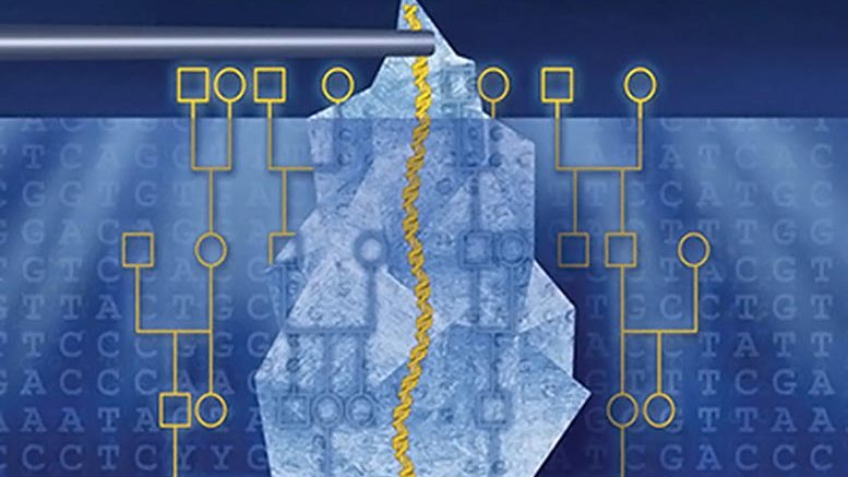 Not Guilty! Forensic Research Proves That Textile Fibers Can Be ...