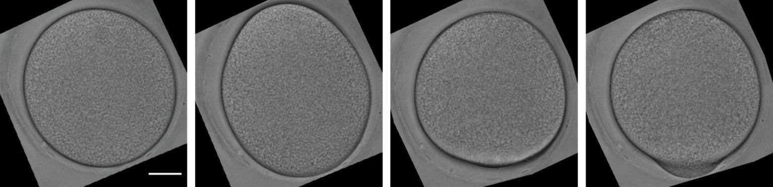 Stranger Than Friction: An Invisible Force Initiating Life