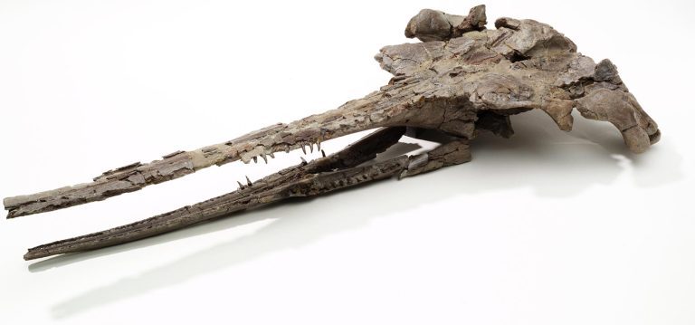 “Astonishing Results” – Scientists Reveal Secrets of Mysterious 22 ...