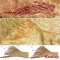 Legends Come Alive: “Nine-Tailed” Galeaspid Fossil Fuels Ancient Lore ...
