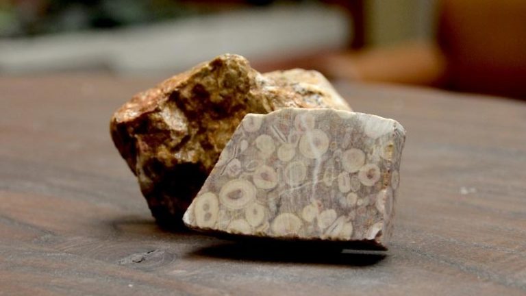 Neuromorphic Chips: Microchips that Imitate the Brain