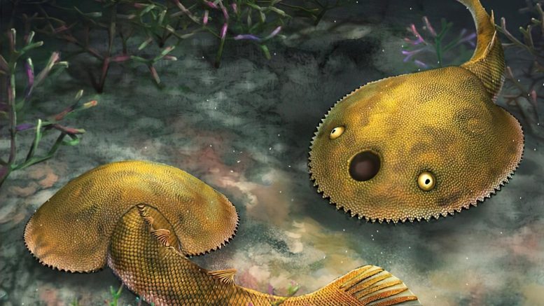 Science News & Research Discoveries - Page 22 of 200 - SciTechDaily