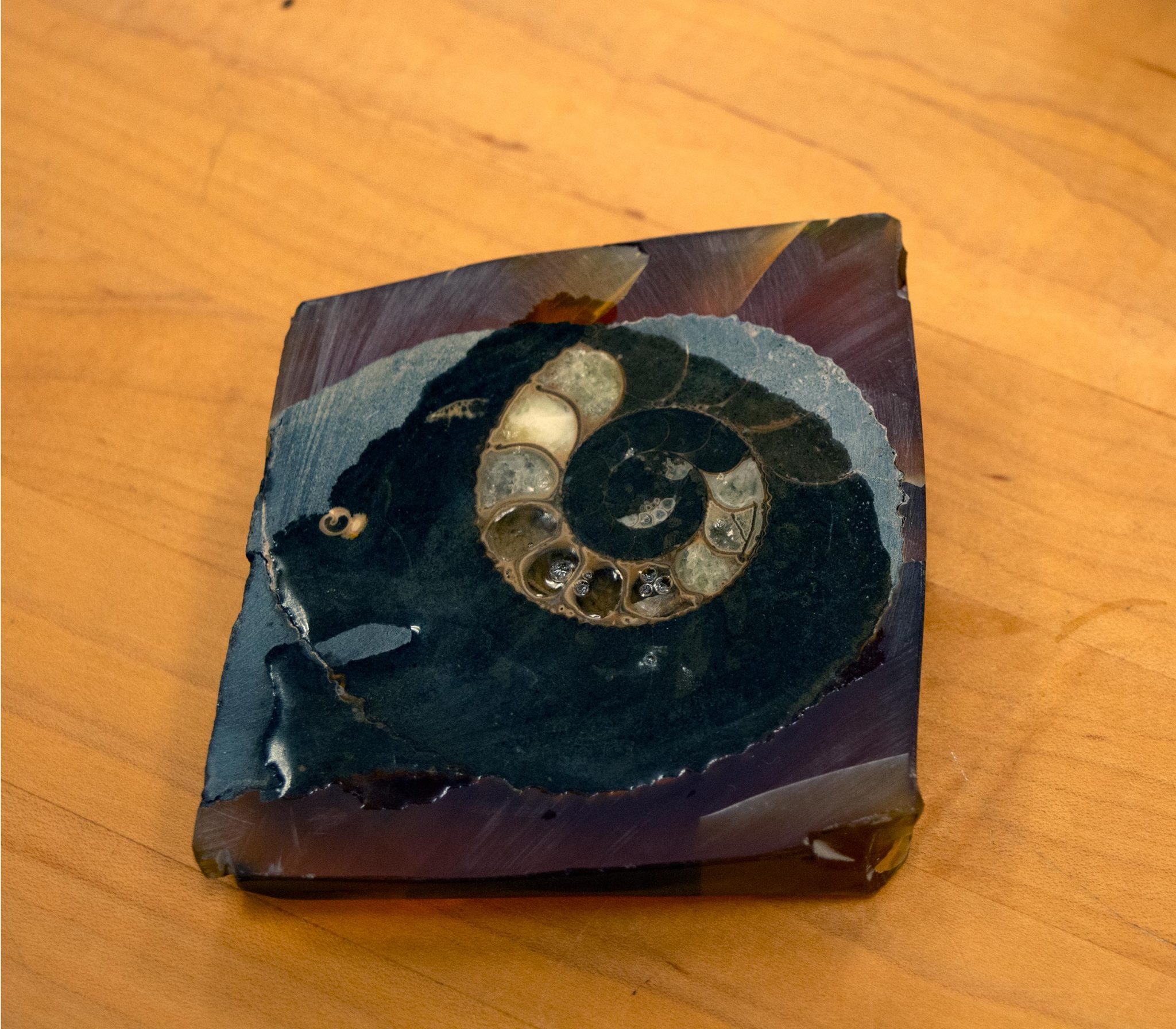 Global Warming, Ocean Acidification: Earth Was Stressed Before Dinosaur ...
