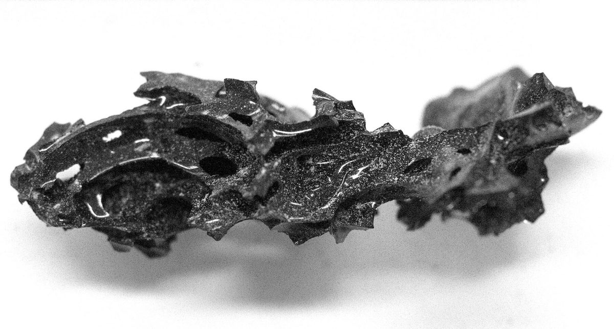 Scientists Discover Mysterious Ancient Human Brain Turned to Glass by ...