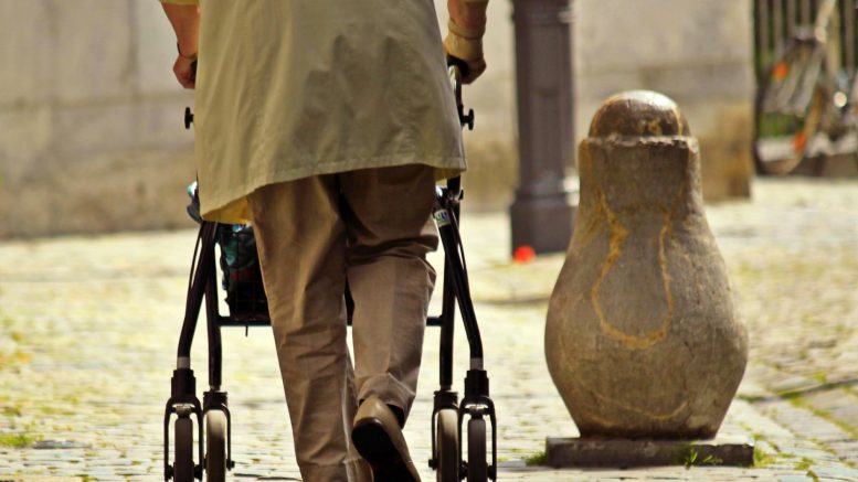 Harvard Doctors Discover a Link Between a Certain Type of Diet ...