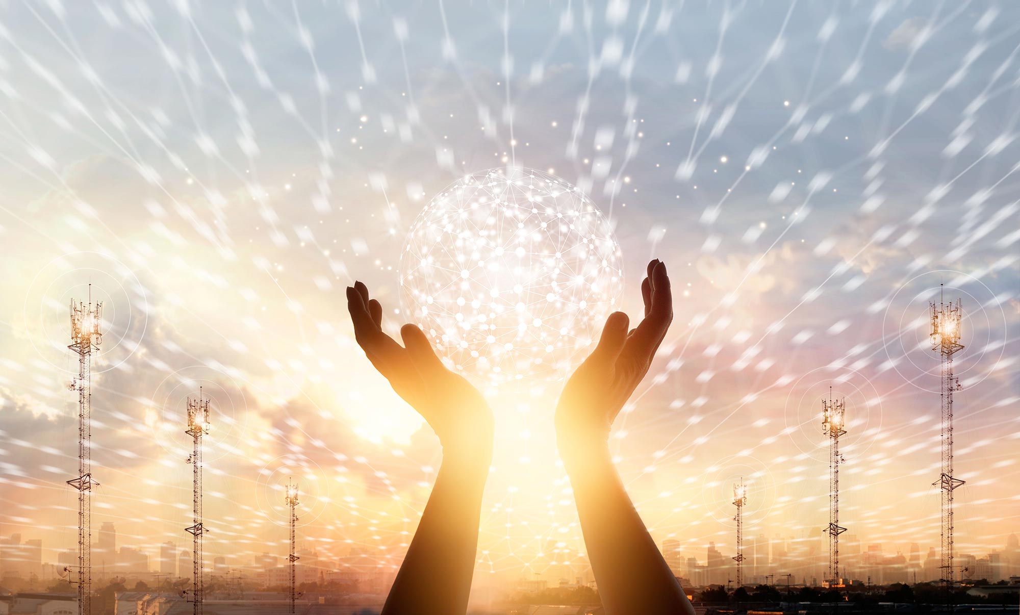 Study Finds Free Internet Access Should Be a Basic Human Right