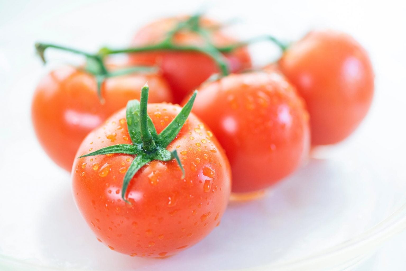 The Tomato Genomics Consortium Sequences the Tomato Genome
