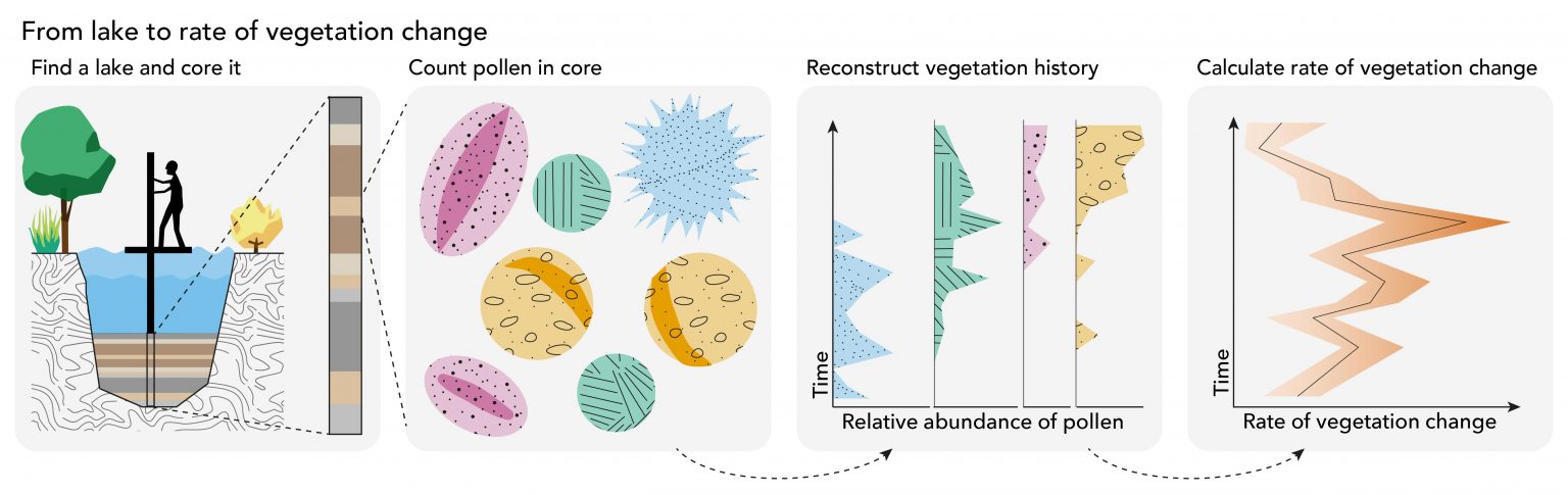 Fossil Pollen Shows Earth’s Vegetation Is Changing Faster Today Than It ...