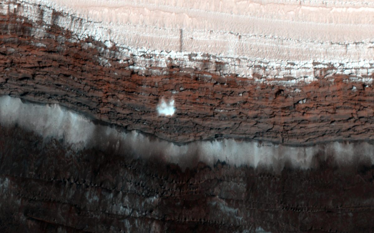 Mars Awakens for the New Year: Explosive Springs and Wandering Dunes