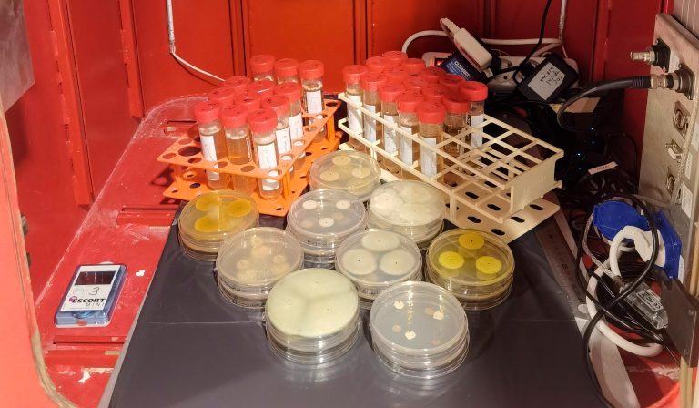 From Star Trek to the Lab: The Real Challenge of Fungi in Hypergravity