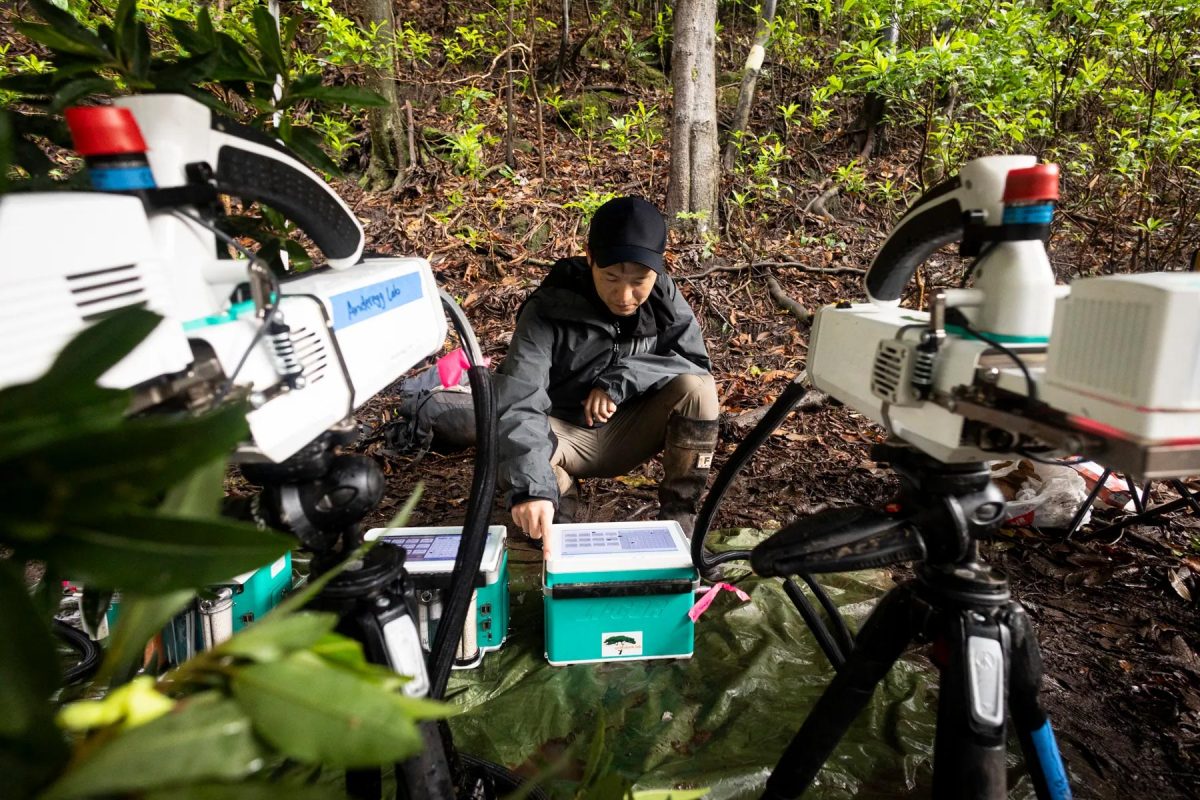 Volcanoes Send Secret Signals Through Trees And NASA Satellites Can See ...