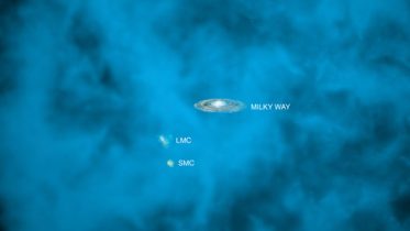 JVLA Details the Structure of the Mini-Halo in the Perseus Cluster