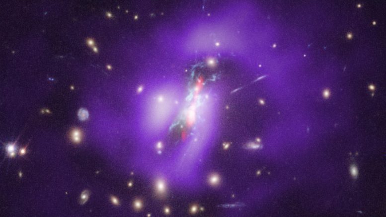 The Newly Discovered Phoenix Cluster Is Breaking Cosmic Records