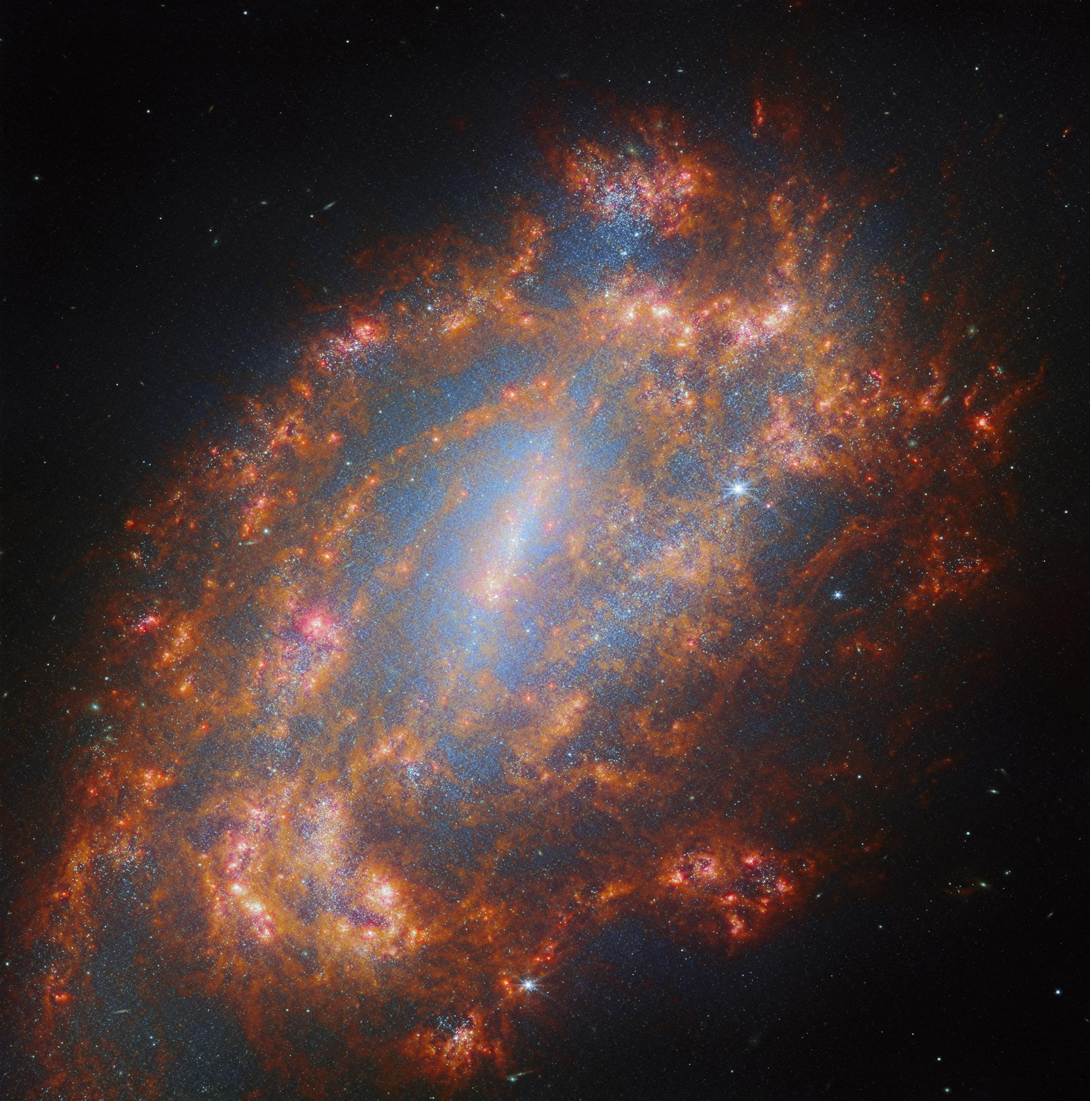 The Light of Knowledge: Hubble’s Stunning New View Into the Reticulum