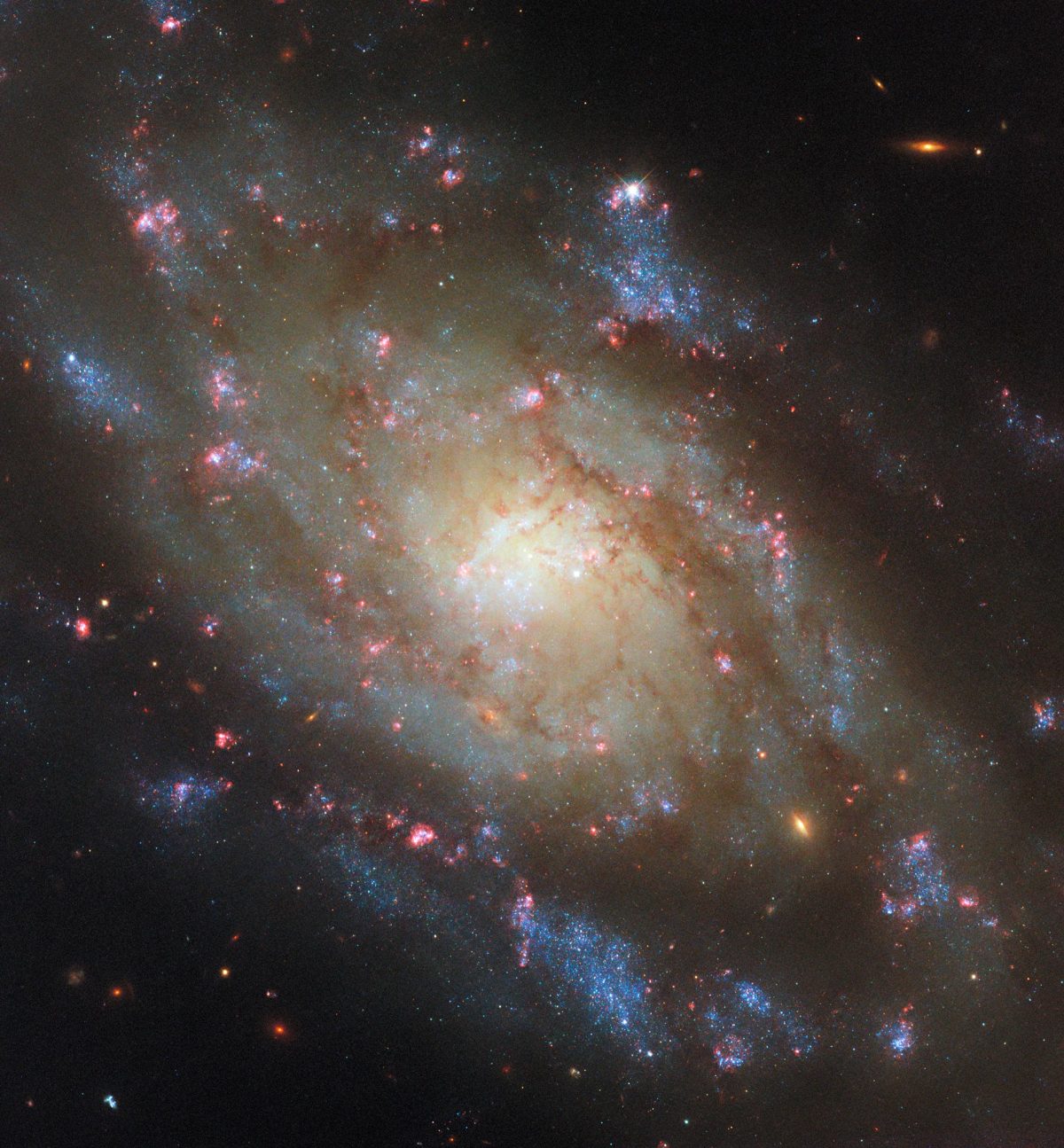 Hubble Captures a Jaw-Dropping Spiral Galaxy Teeming With Star Formation