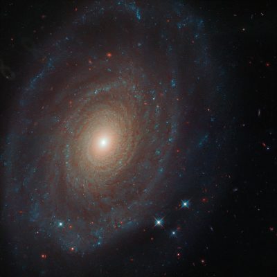 What Did the Hubble Space Telescope See on Your Birthday?