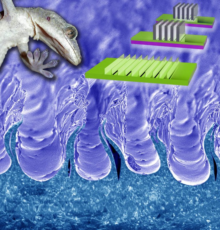 Reversible “Gecko” Adhesives Ready for Easy Mass-Production