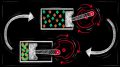 Beyond Combustion: Highly Efficient Quantum Engines on the Horizon