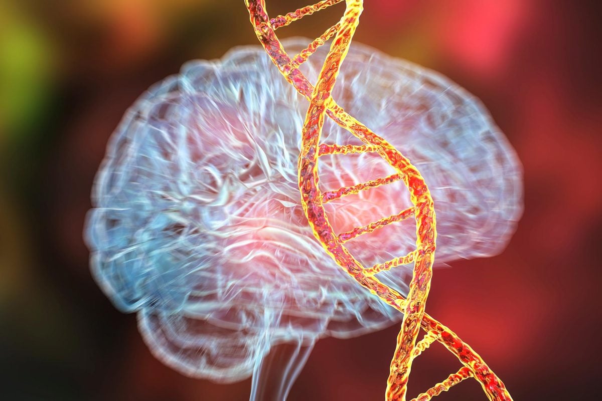 Scientists Uncover the Earliest Brain Changes That May Predict ...