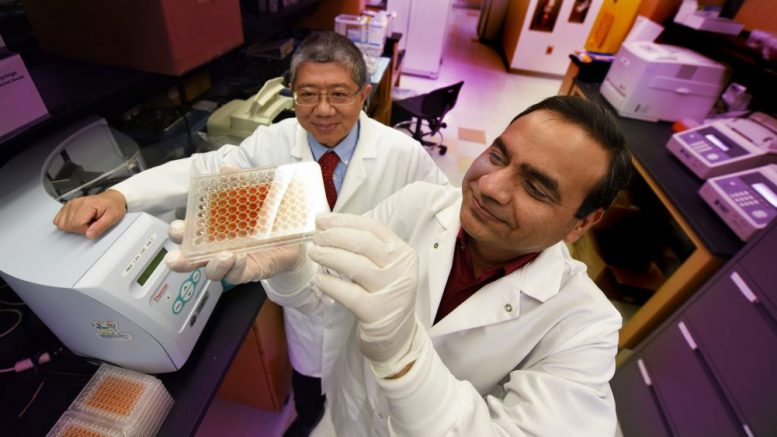 Scientists Identify 117 Genes That Cause Type 2 Diabetes