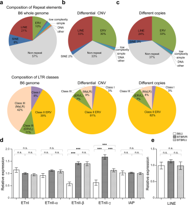 Does Ancient Virus Genome Drive Autism?