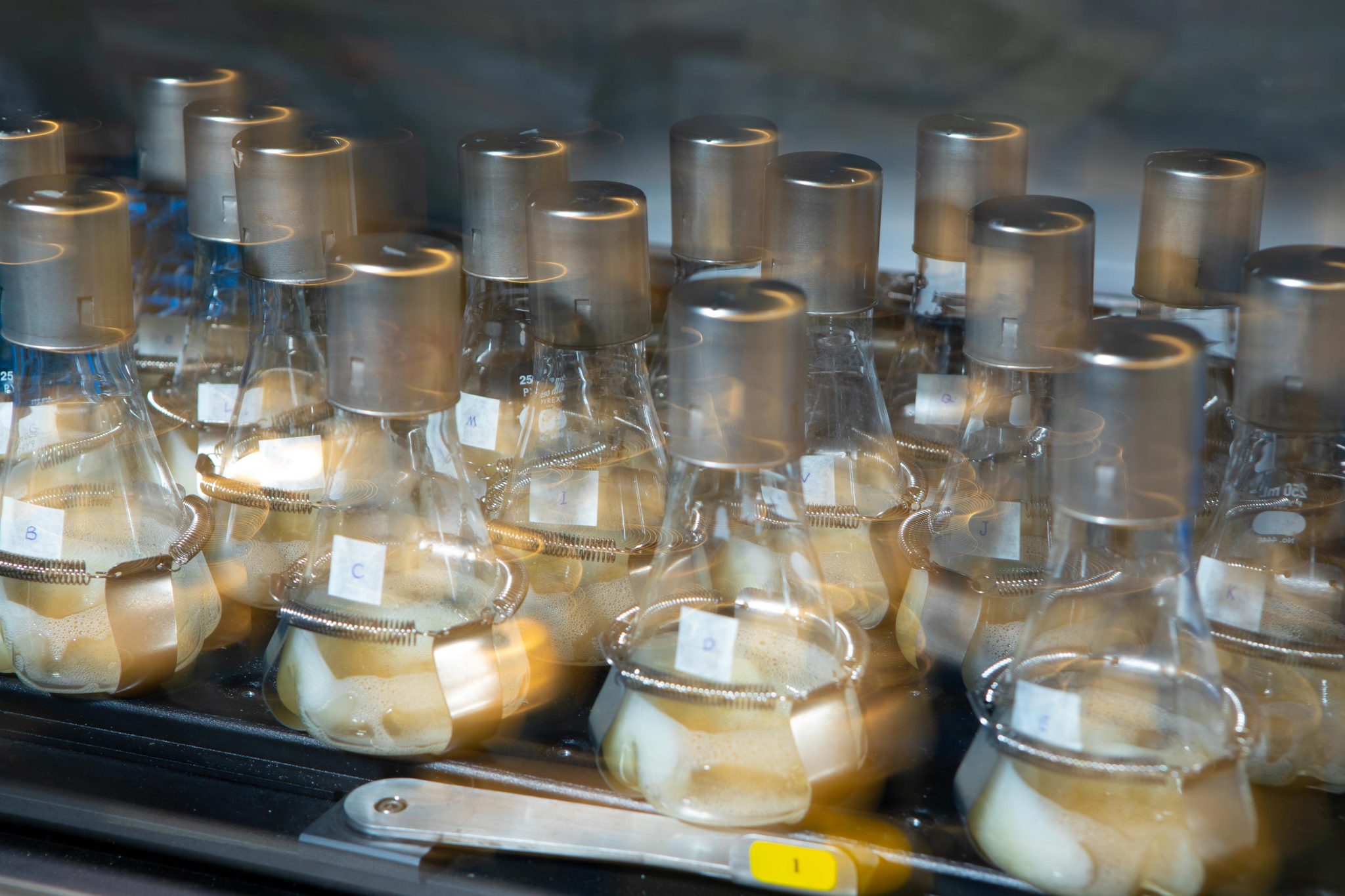 Modern-Day Alchemy: Transforming Sugar Into Hydrocarbons To Power ...