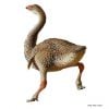 Giant Fossil’s “Bird-Brain” – Whopping Head Was Crammed for Space