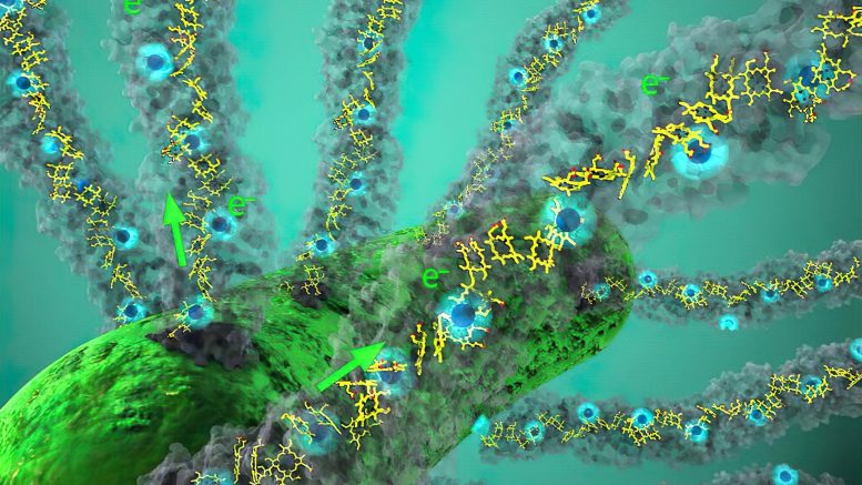 New Bioelectronic Chemical Sensor Uses Protein Nanowires for Superior ...
