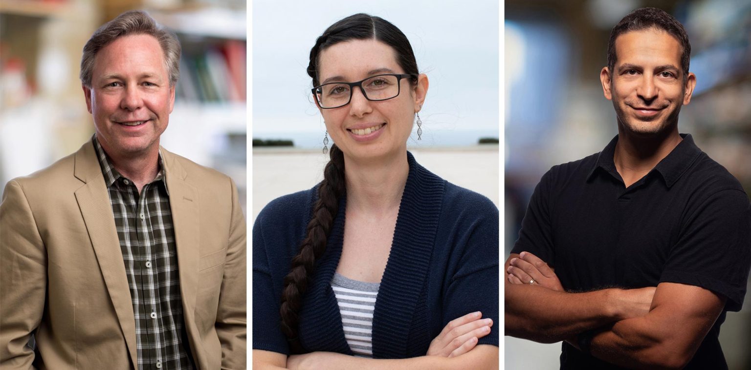 Mitochondrial Stress: Faulty DNA Disposal System Ignites Inflammatory ...