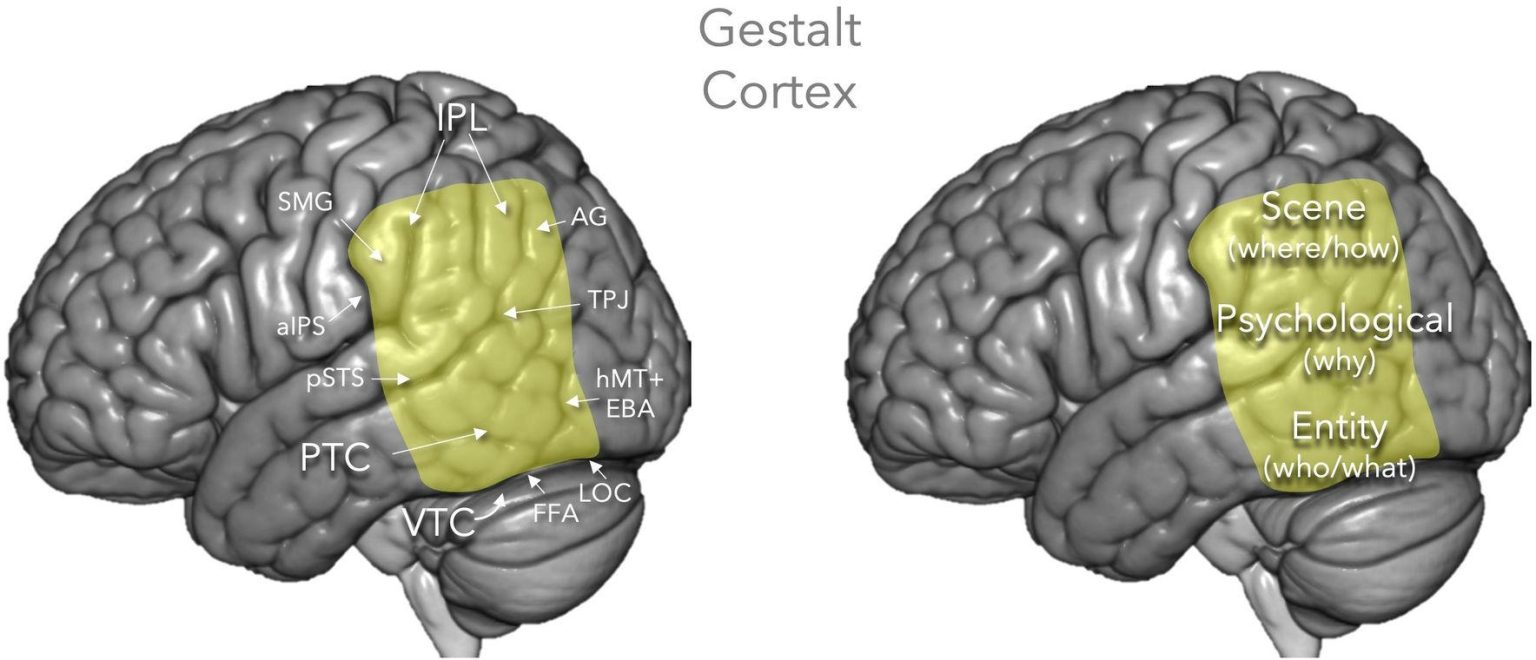 Science Reveals: Why Doesn’t Everybody View the World the Same Way?