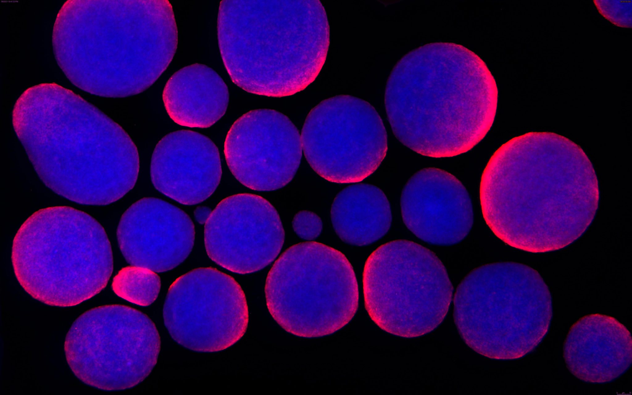Scientists Warn: Urgent Need for Improved Reporting of Biomedical ...