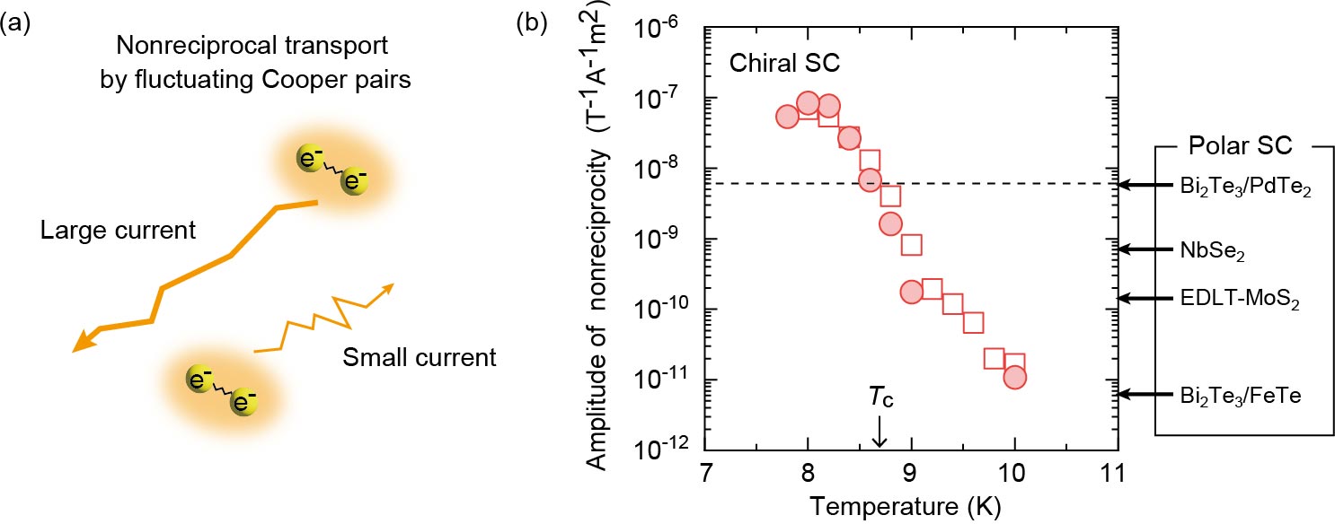 Not Just Geometry: Organic Superconductors Flip Physics Rules