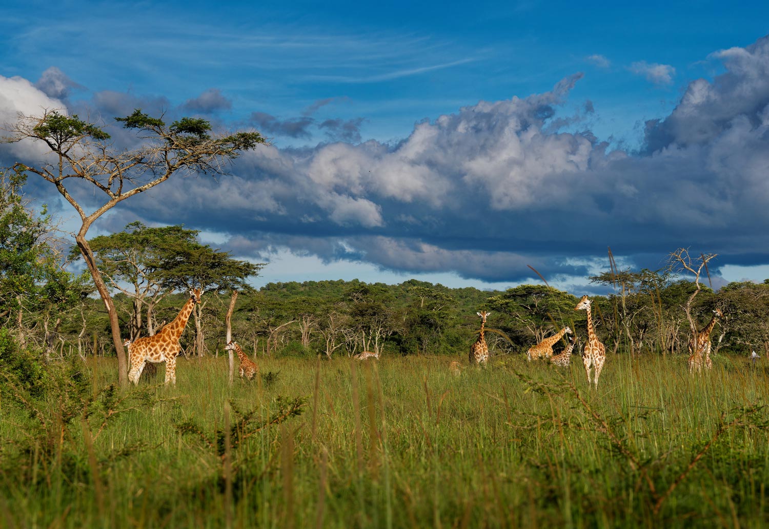 New Research Reveals Why Most Early Humans Who Left Africa Disappeared ...