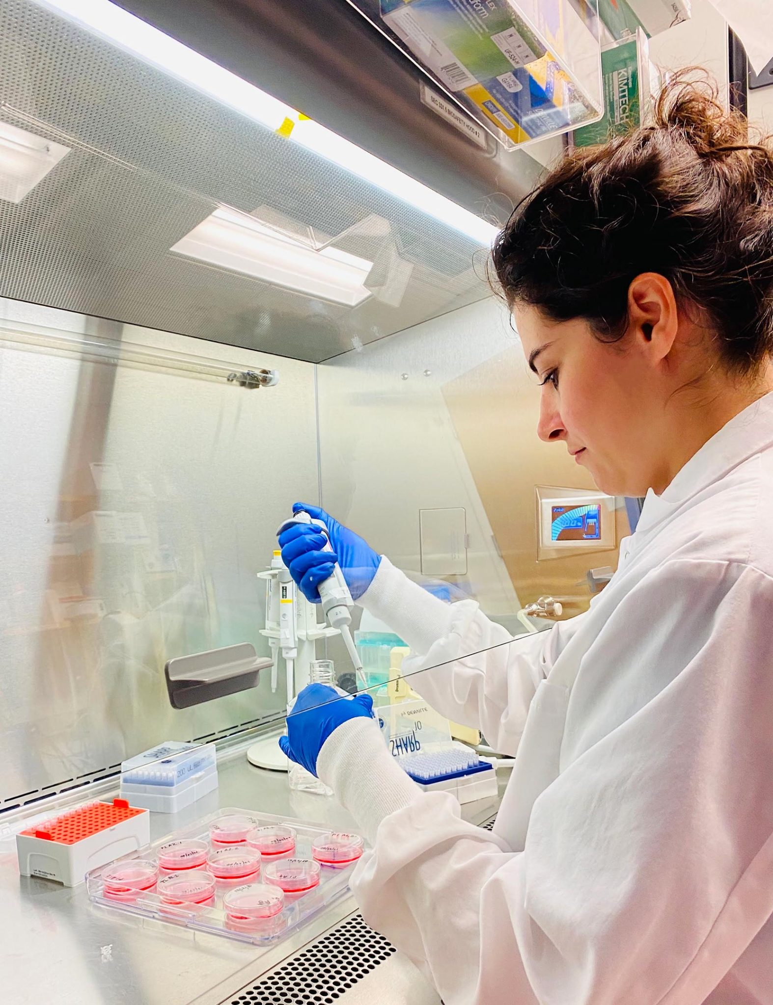 Medical Marvel: Human Cells Transformed Into Tiny Biological Robots