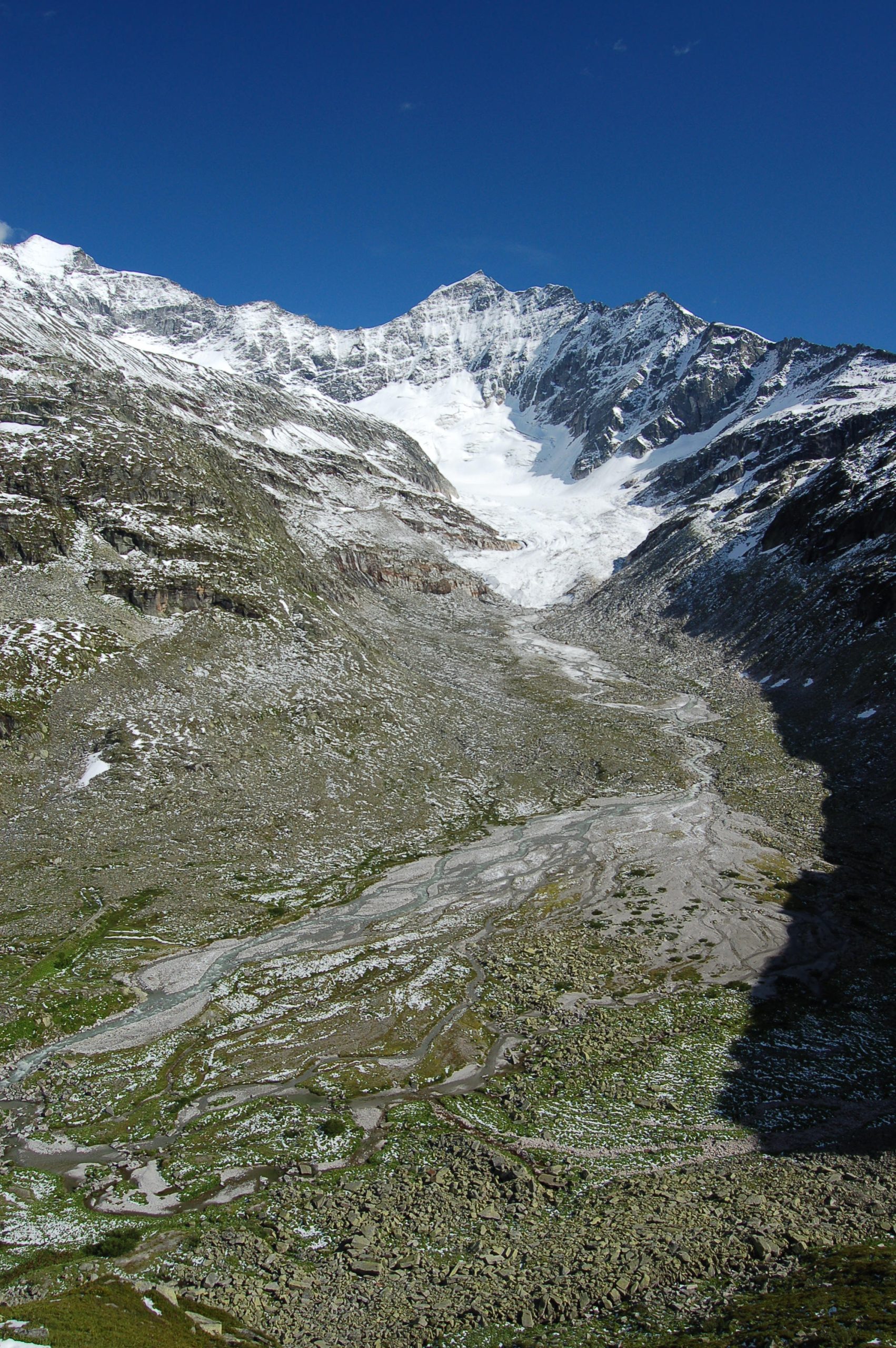 Climate Change Is Causing Alarming Habitat Loss in European Alps