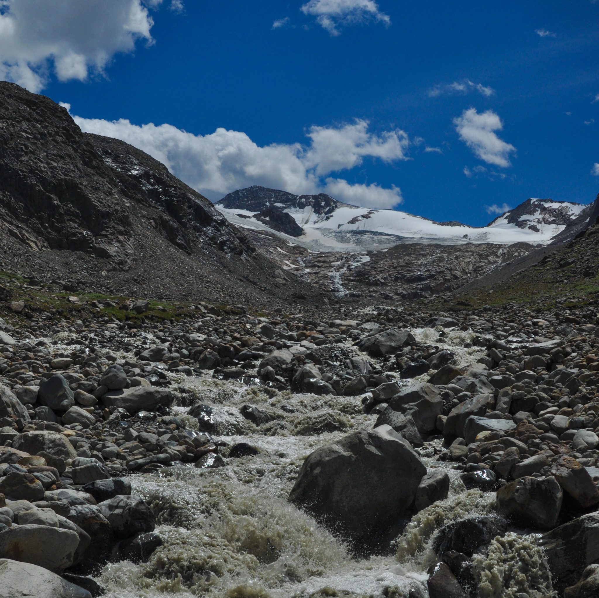 Climate Change Is Causing Alarming Habitat Loss in European Alps