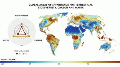 Scientists Say Global Plan to Protect Endangered Species Has Major Flaw