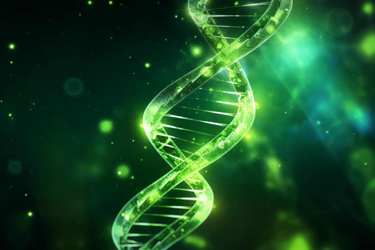 Newly Discovered Gene Could Be the Secret to Longevity