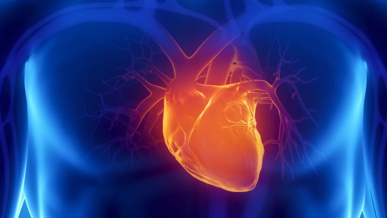 Chocolate Is Good for the Heart – “Chocolate Helps Keep the Heart’s ...