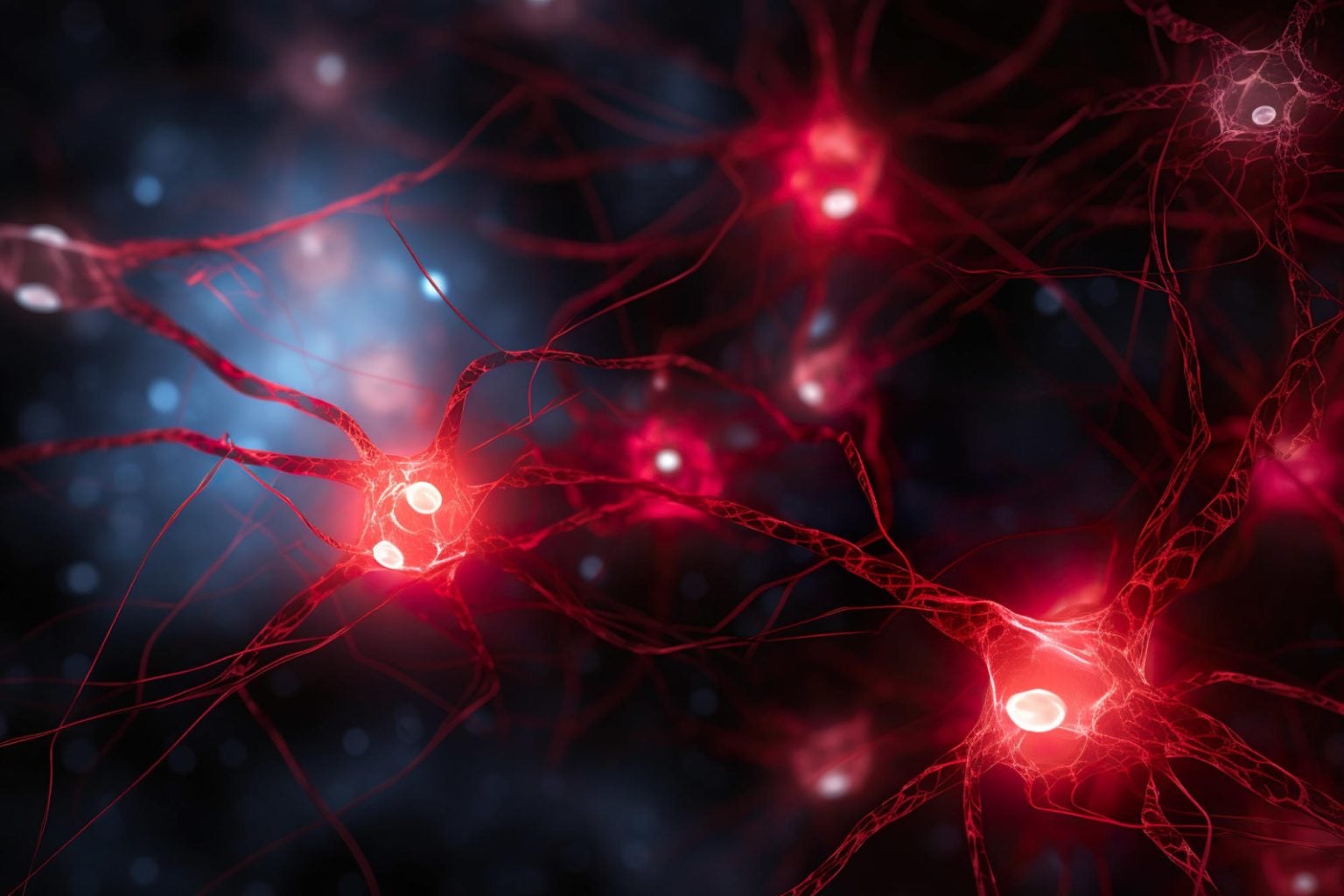 Increasing Productive Lifespan – New Research Casts Light on Protein ...