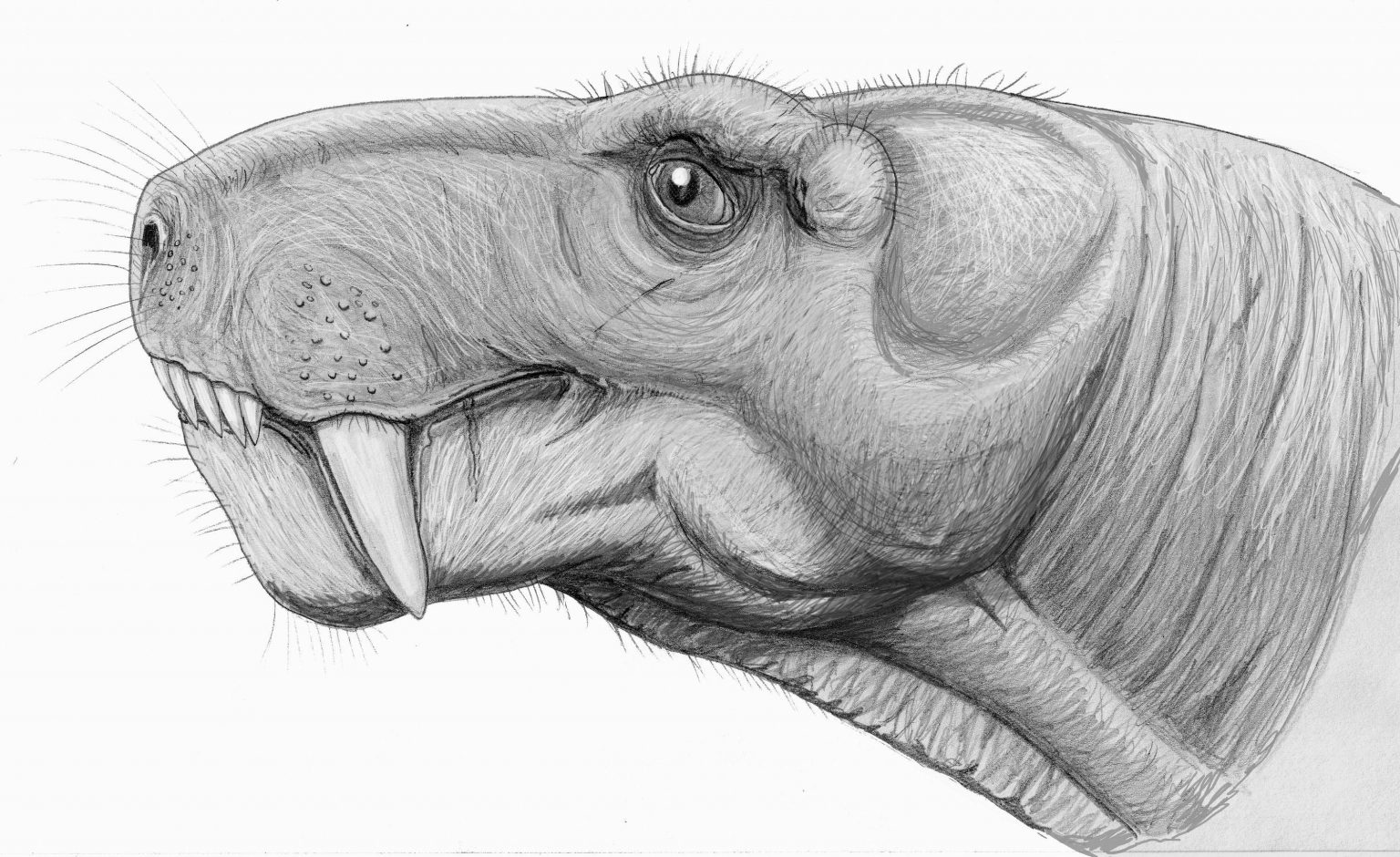 Surprising Connection Discovered Between Prehistoric Dinosaurs and ...