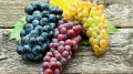 New Research: Eating Grapes Can Protect Against UV Damage to Skin