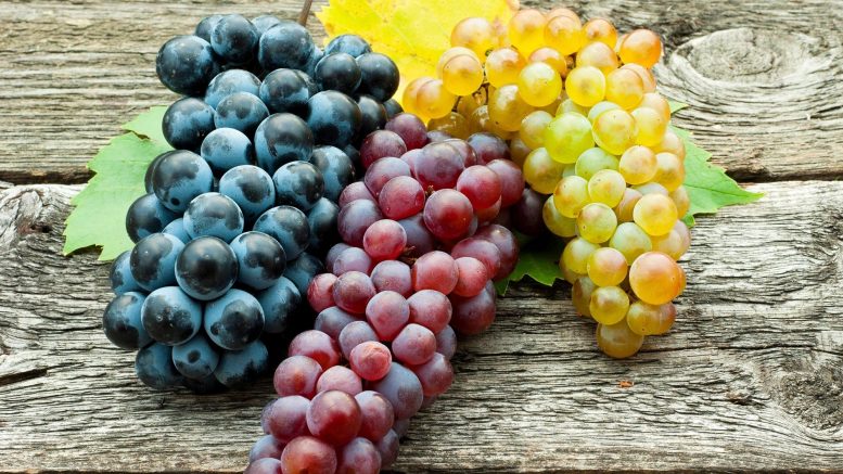New Research: Eating Grapes Can Protect Against UV Damage to Skin