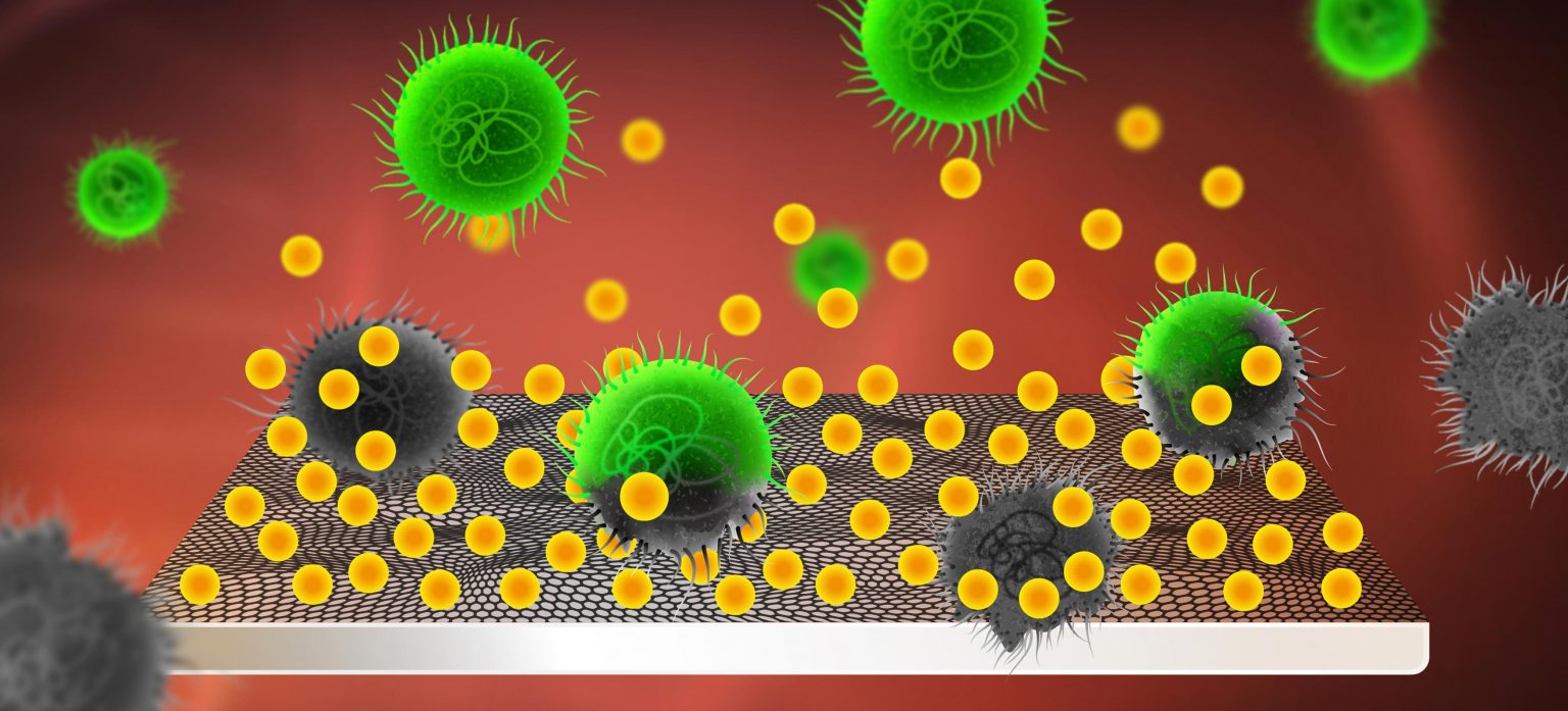 Graphene Binds Drugs That Kill Bacteria on Medical Implants To Prevent ...